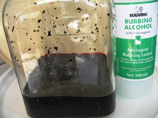 Alkanet Root - Jenny Dean's Wild Colour