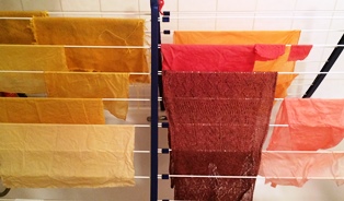 Dyeing with safflower petals - Jenny Dean's Wild Colour