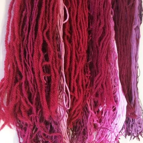 Jenny Dean's Wild Colour - Using natural plant dyes