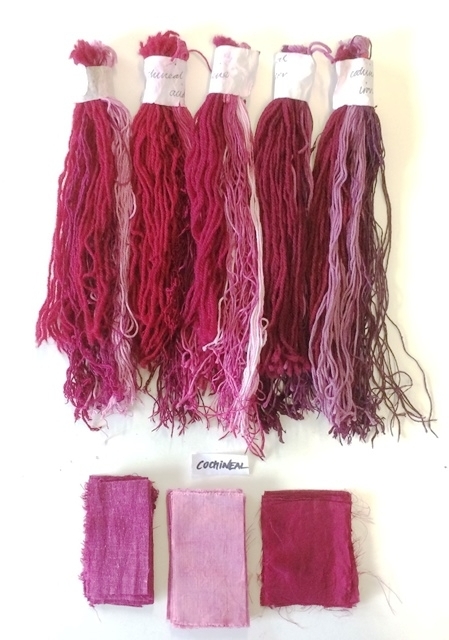 Jenny Dean's Wild Colour - Using natural plant dyes