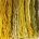 Jenny Dean's Wild Colour - Using natural plant dyes