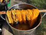 Jenny Dean's Wild Colour - Using natural plant dyes